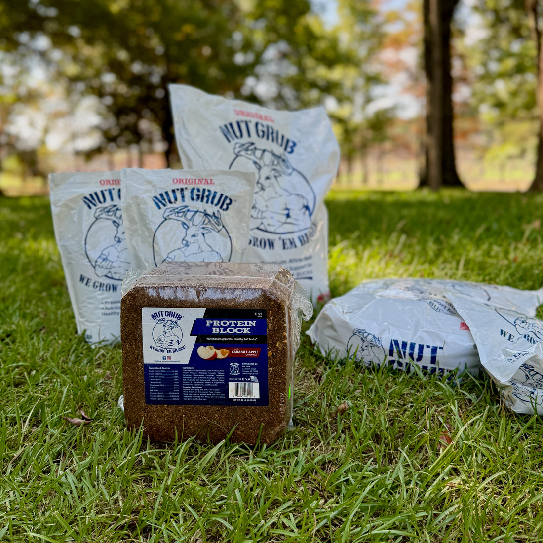 The Original Nut Grub Protein Block